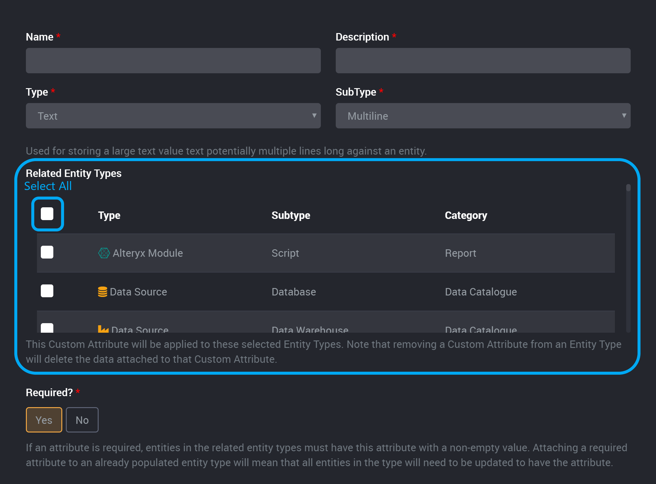 Custom Attributes :: Loome Publish Documentation